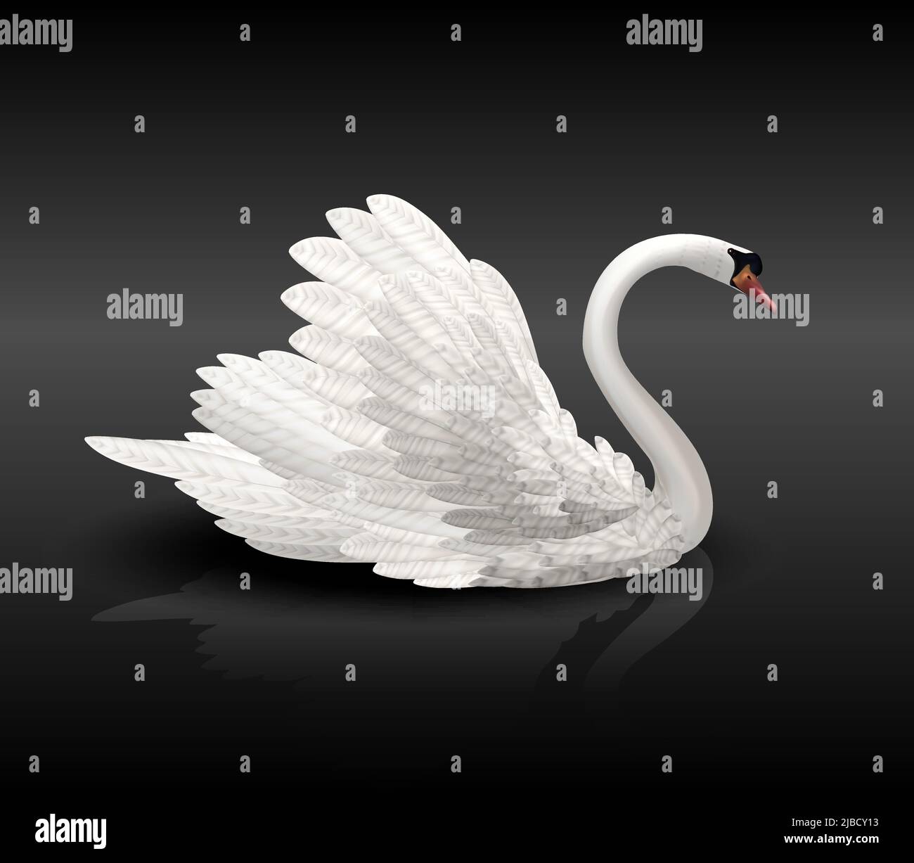 White swan on black water with reflection. EPS10 opacity in shadows and ...