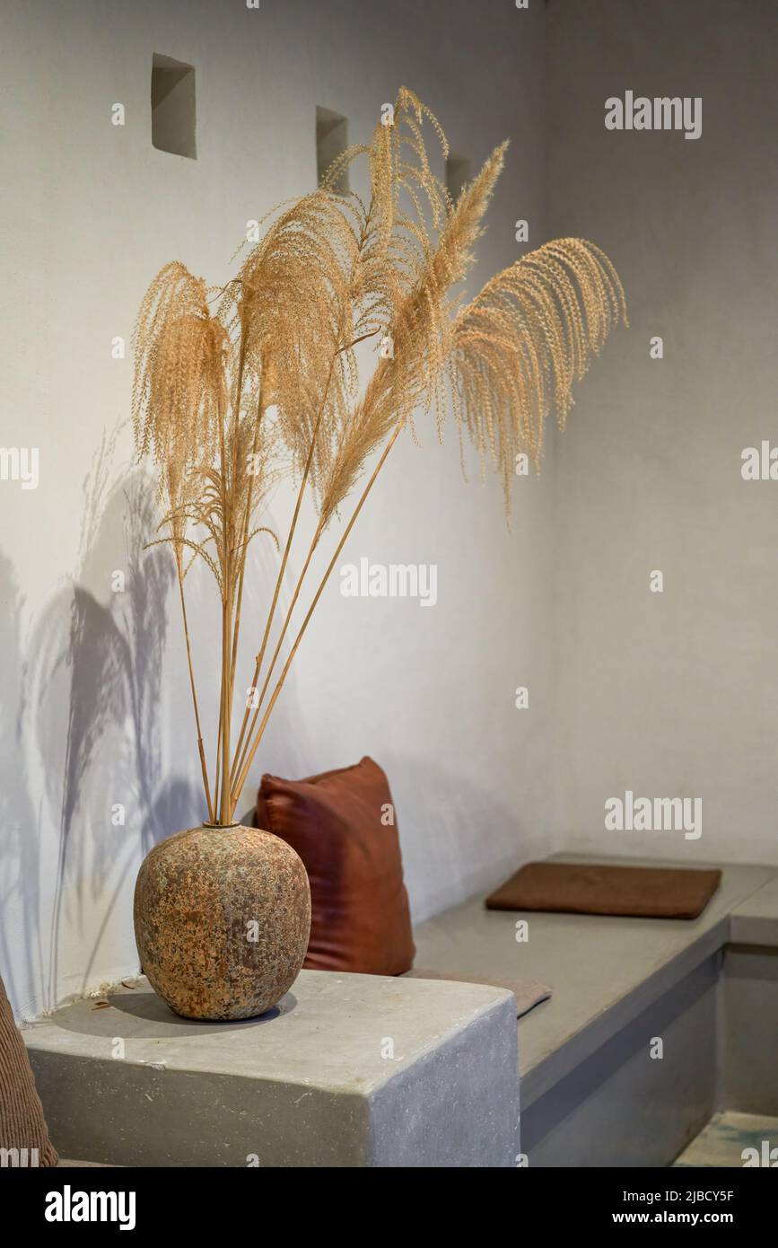 Decorative vase with reed poles indoors Stock Photo - Alamy