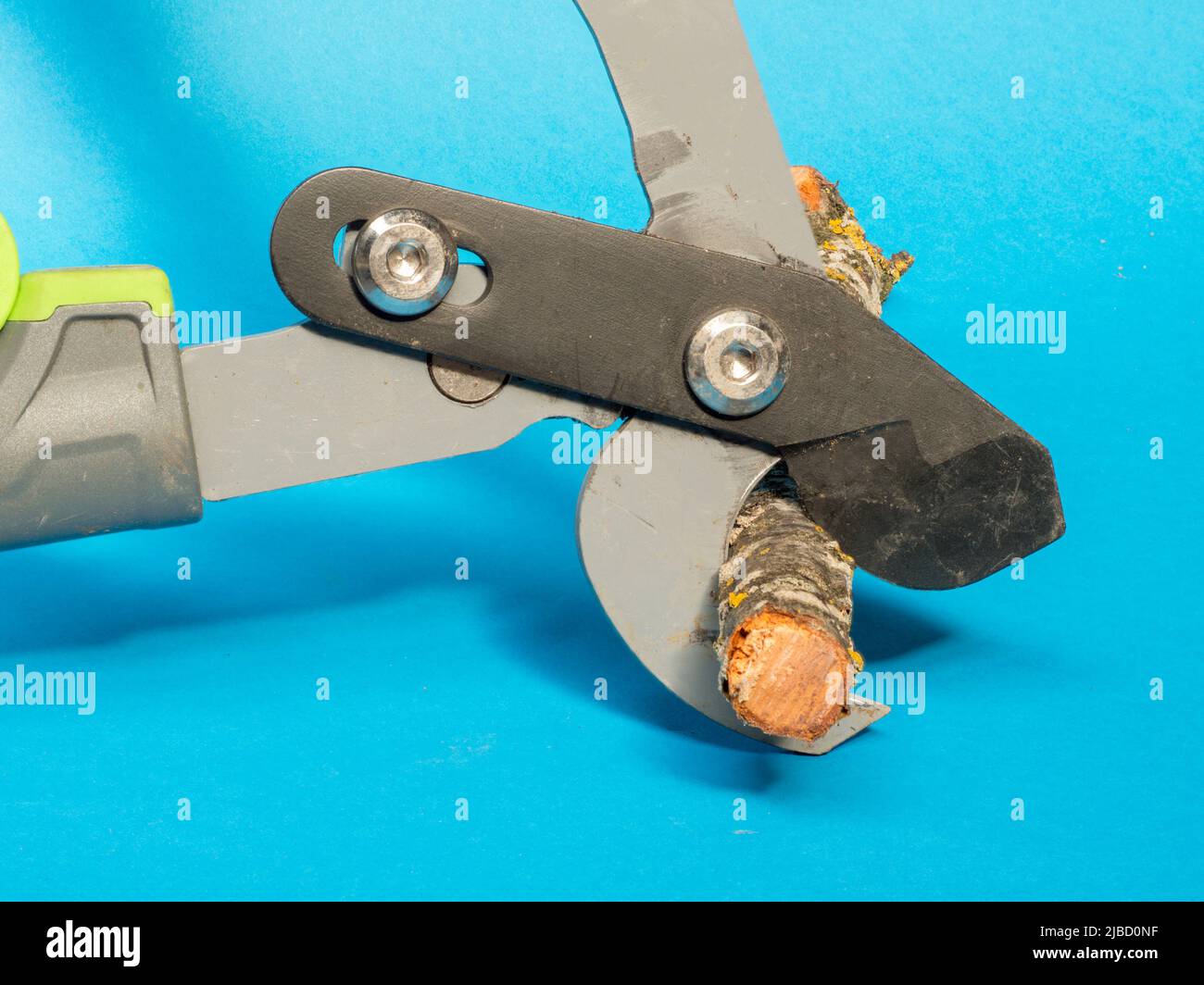 Garden secateurs isolated on a white background with clipping paths Stock Photo - Alamy