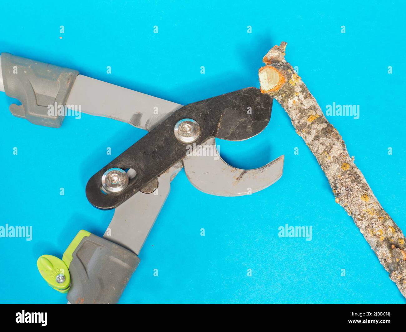 Garden secateurs isolated on a white background with clipping paths Stock Photo - Alamy