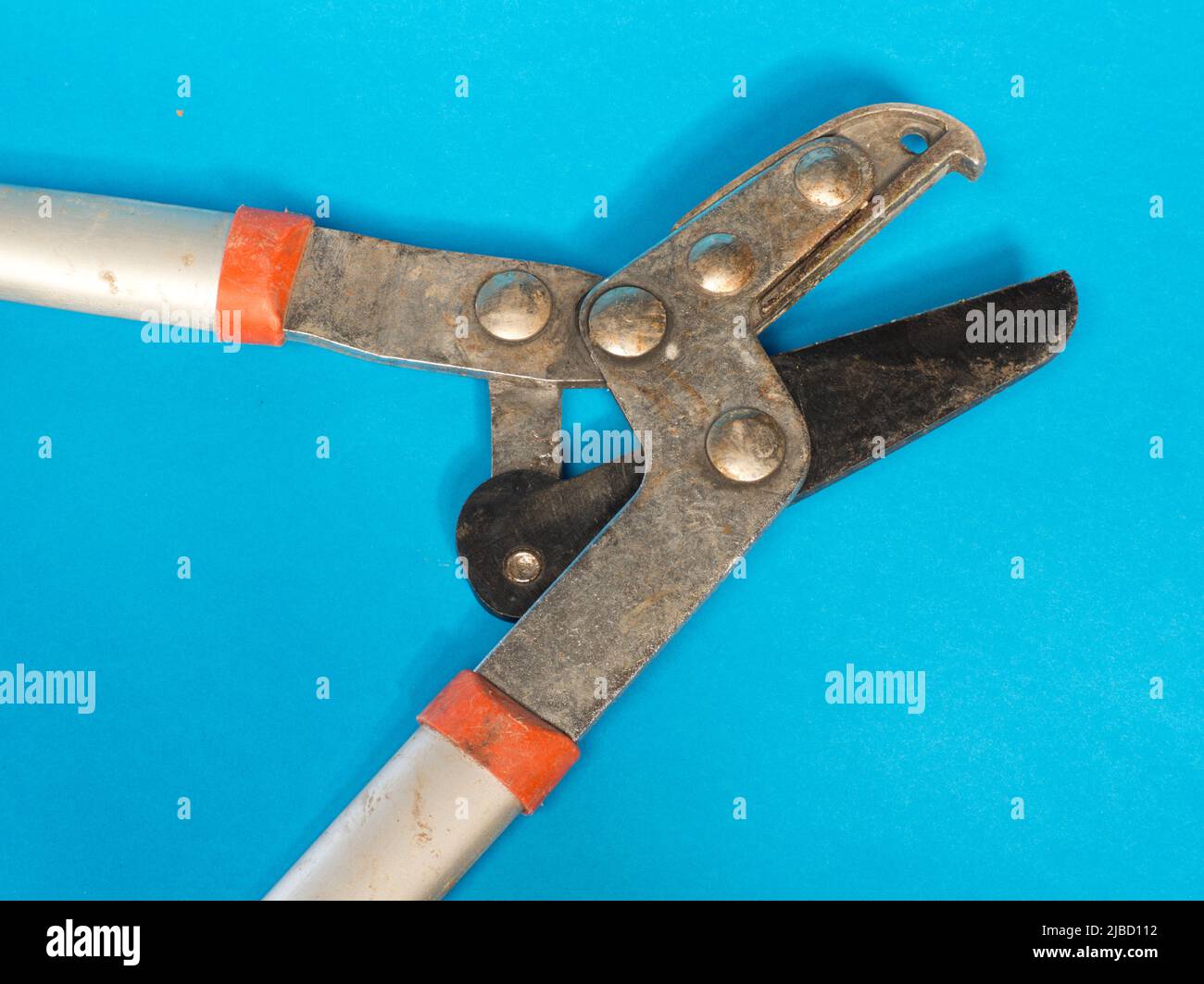 Pruning shears with a blue background. Pruning concept Stock Photo - Alamy