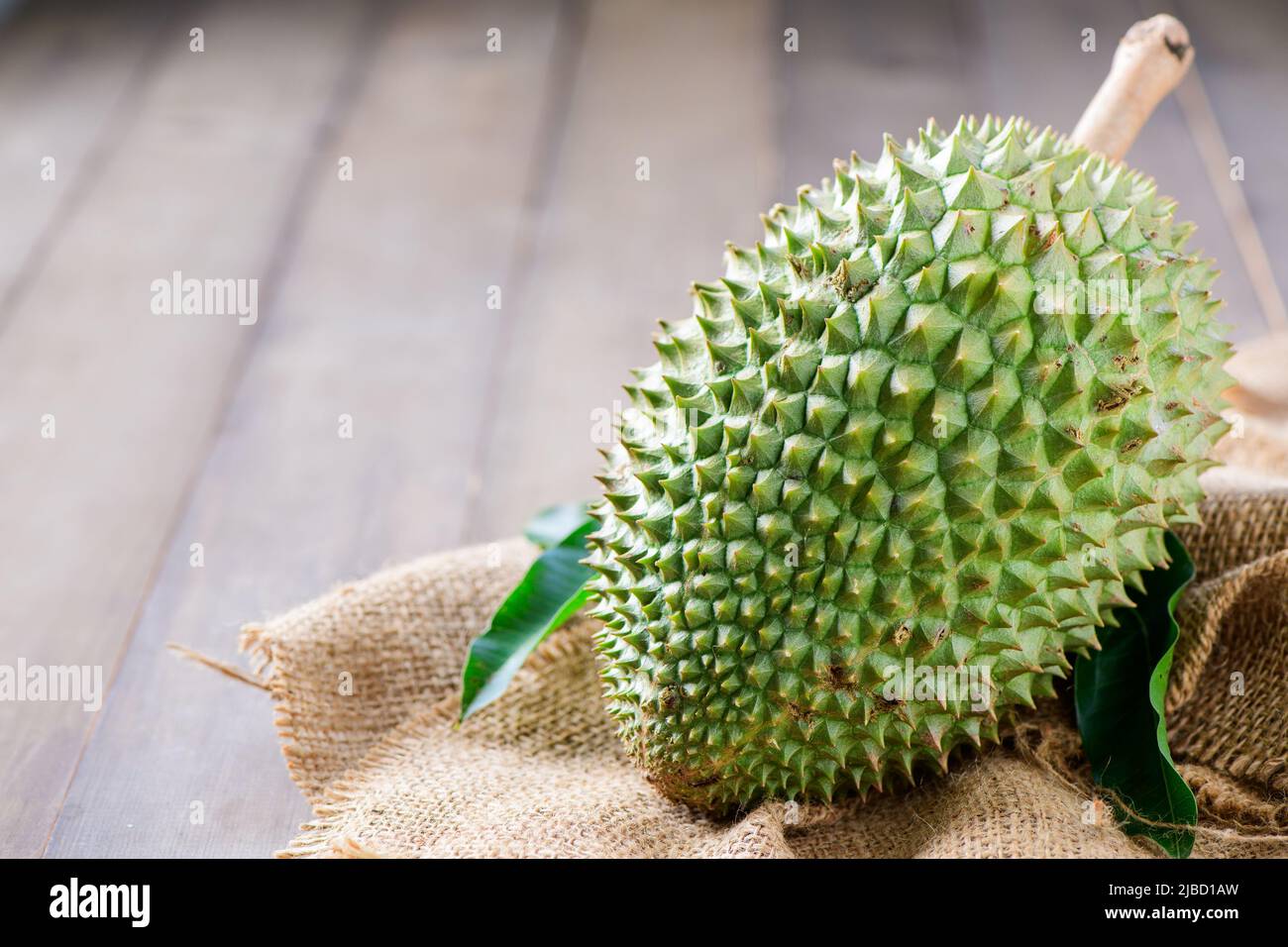 fresh Puangmanee durian on sack and wood background, It's a small ...