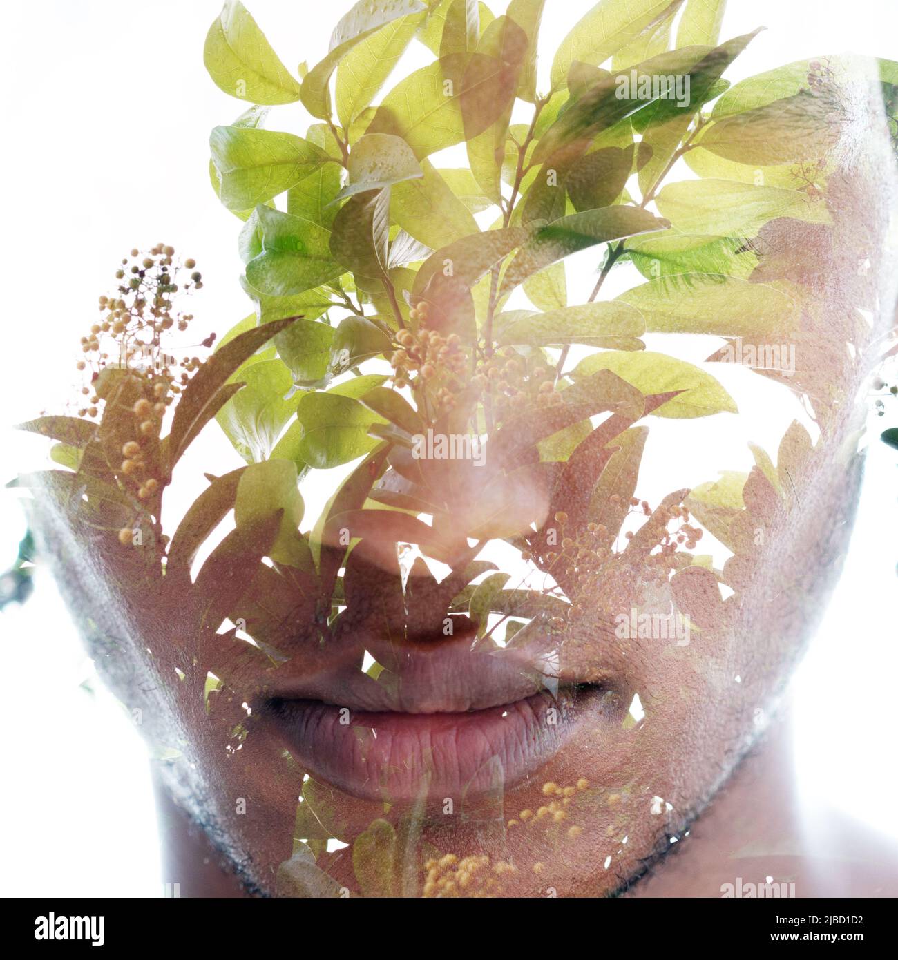 An image of a tree combined with a portrait of a young African American ...