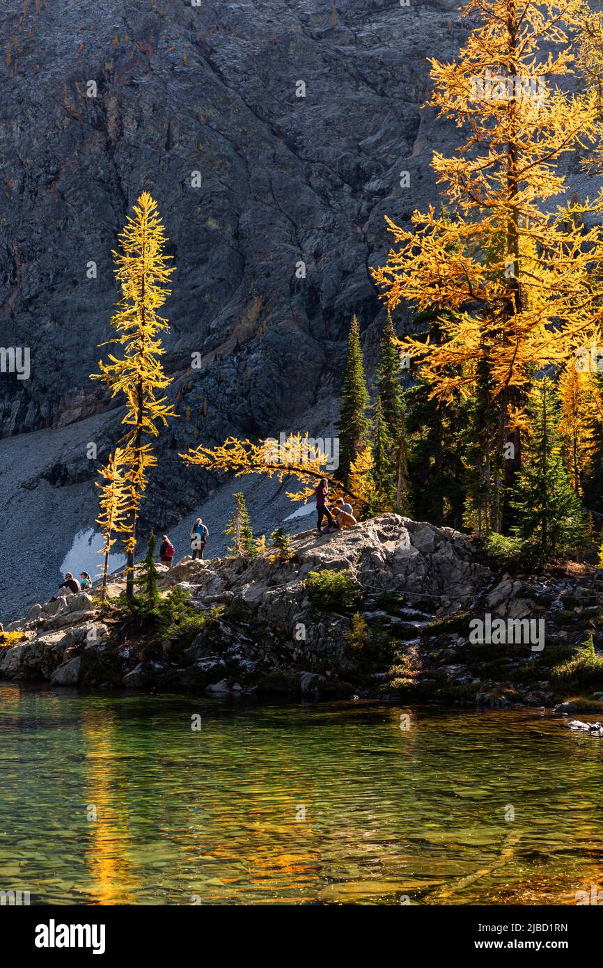 Fall color section tree hi-res stock photography and images - Alamy