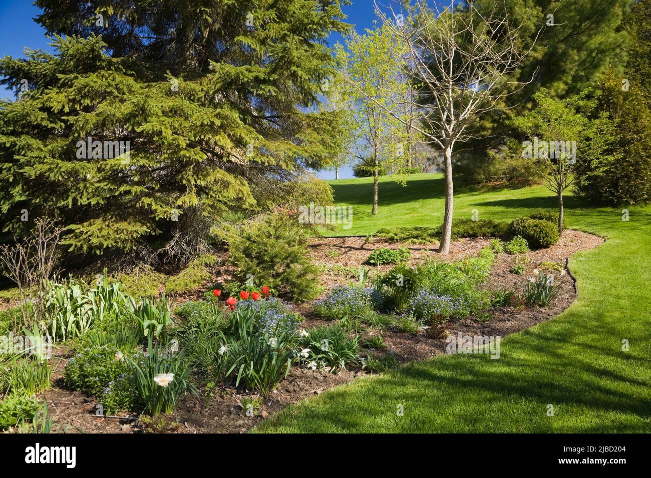 Sloped backyard hi-res stock photography and images - Alamy