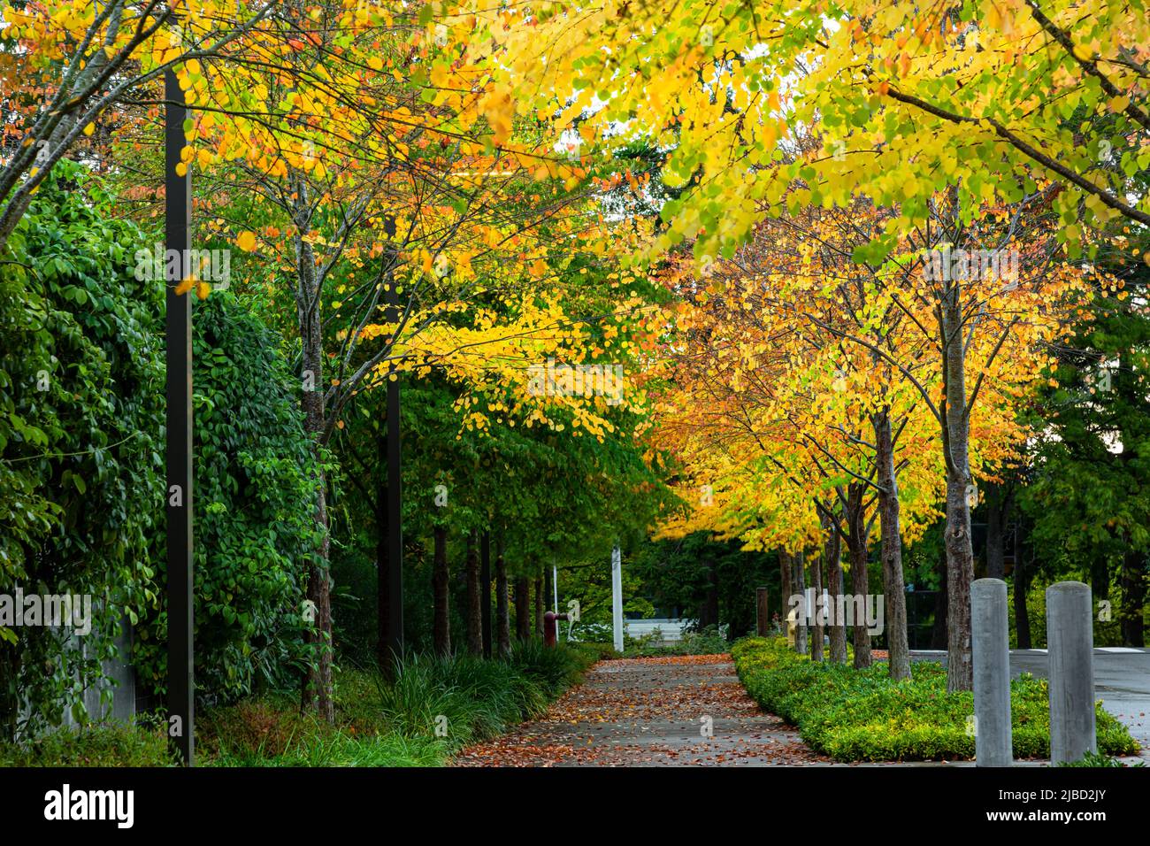 Bellevue botanical garden hi-res stock photography and images - Alamy
