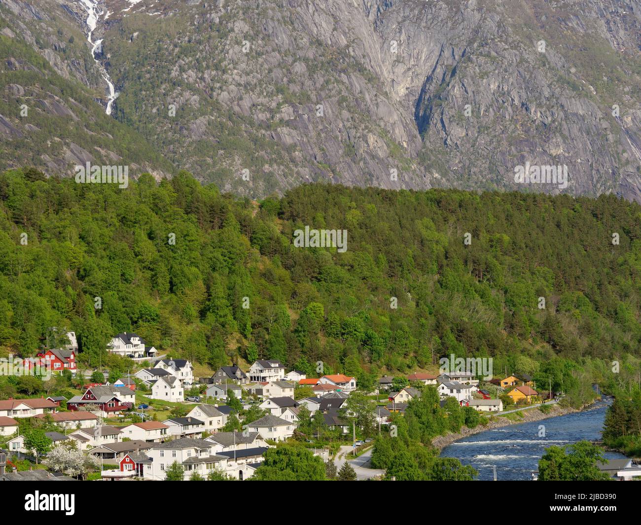ship cruise in the norwegian hardangerfjord Stock Photo - Alamy