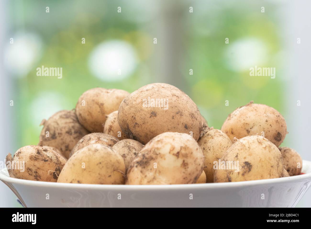 bowl of new potatoes Stock Photo - Alamy