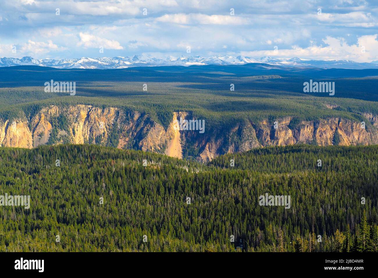 Great Canyon of Yellowstone viewed from the slopes of Mt.Washburn in ...