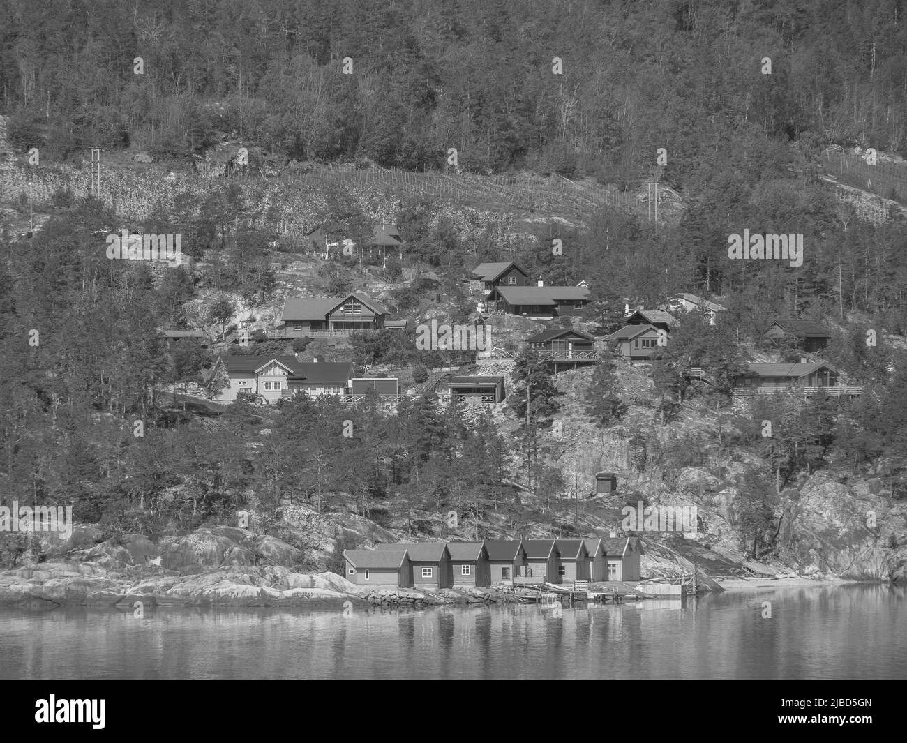 ship cruise in the norwegian hardangerfjord Stock Photo - Alamy