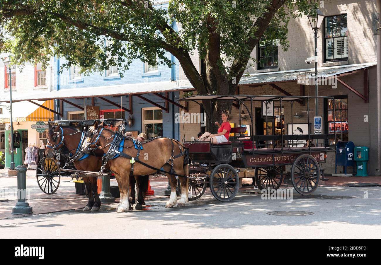 Savannah Carriage tours by horses in Savannah, Georgia the best way to ...
