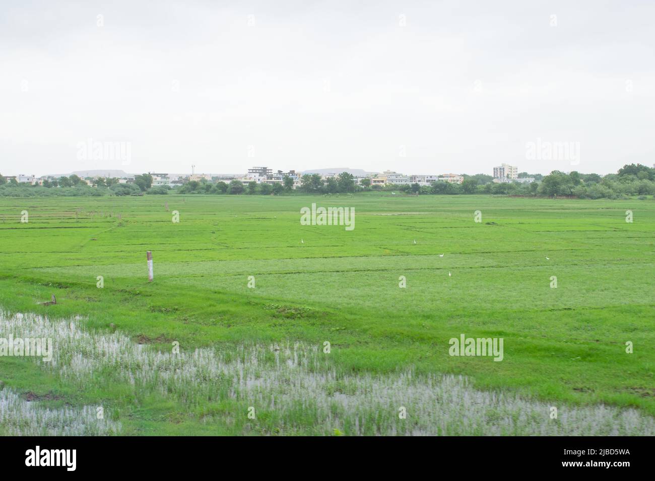 Water is flowing through the land due to small flood Stock Photo - Alamy