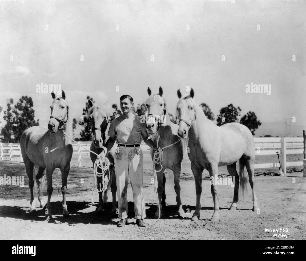 CLARK GABLE in 1937 standing with 4 Palomino Horses at the ranch of ...