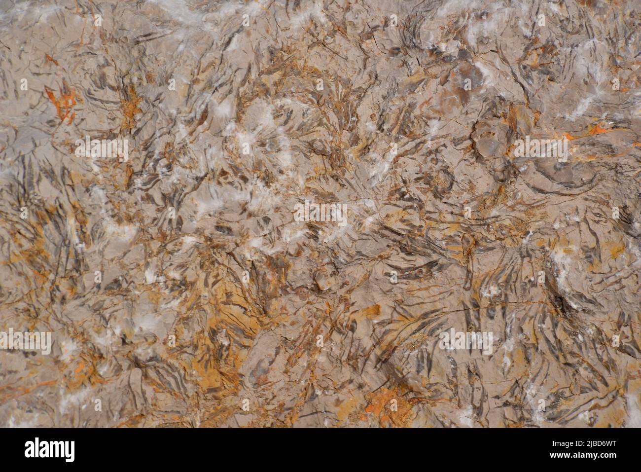 Strange and beautiful rock formation Stock Photo - Alamy