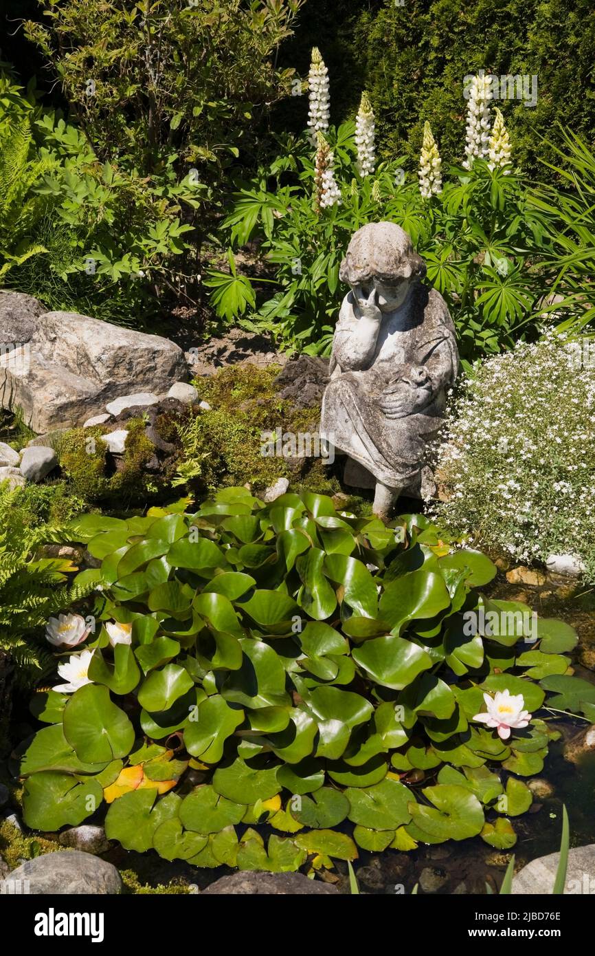Small statue on edge of pond with white Nymphaea - Waterliliy flowers ...