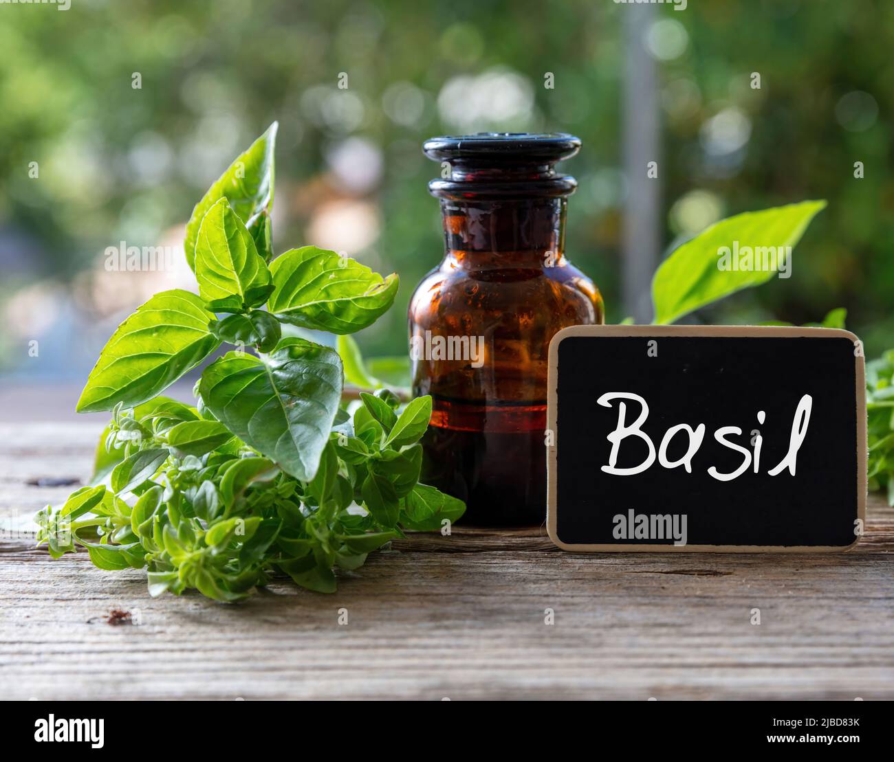 Basil herb essential oil and text label. Aromatic culinary and ...