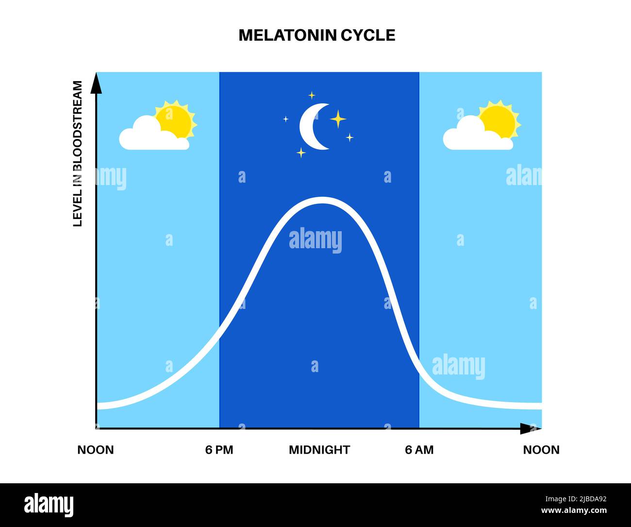 Circadian cycle hi-res stock photography and images - Alamy