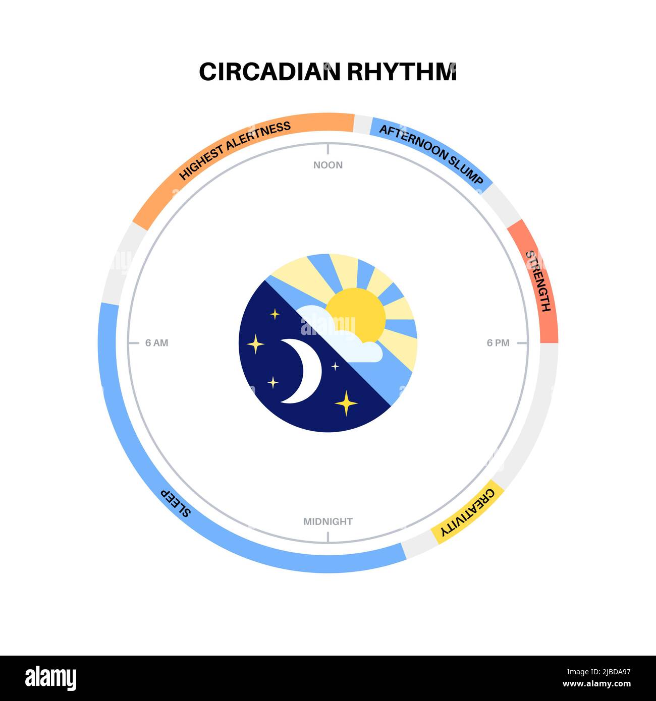 Sleep cycle illustration Cut Out Stock Images & Pictures - Alamy