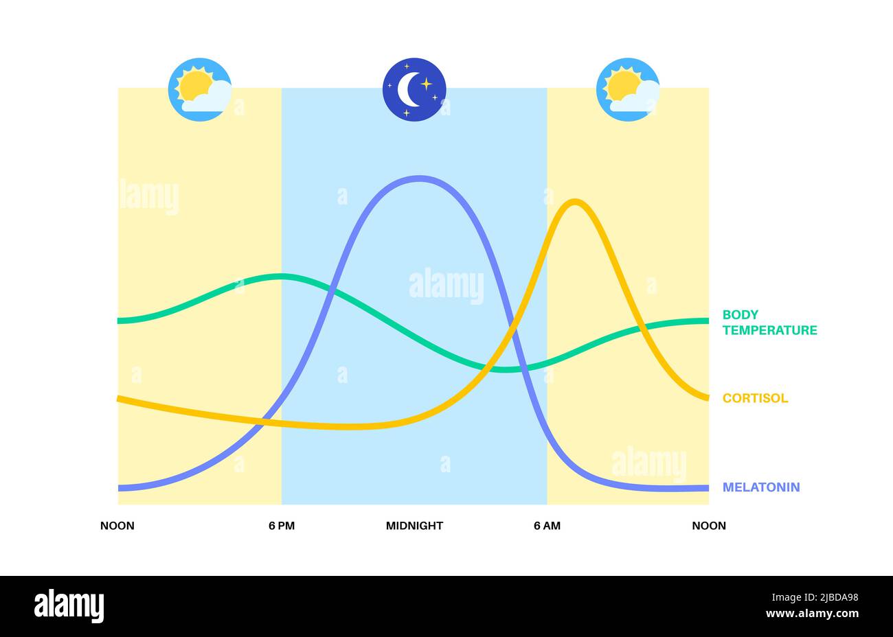 Sleep wake cycle, illustration Stock Photo - Alamy