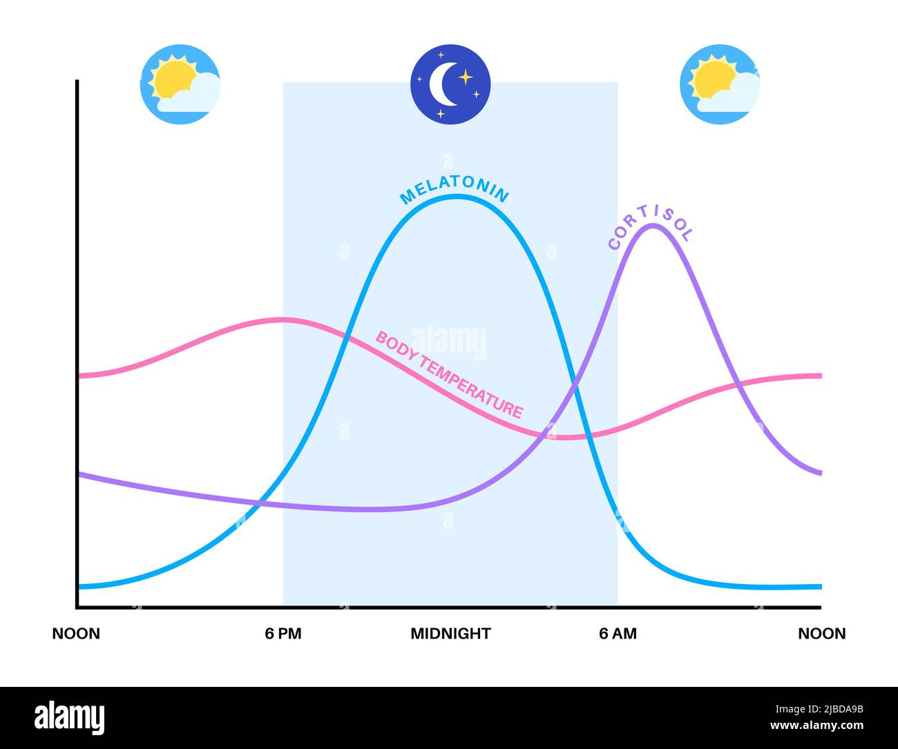Sleep wake cycle, illustration Stock Photo - Alamy
