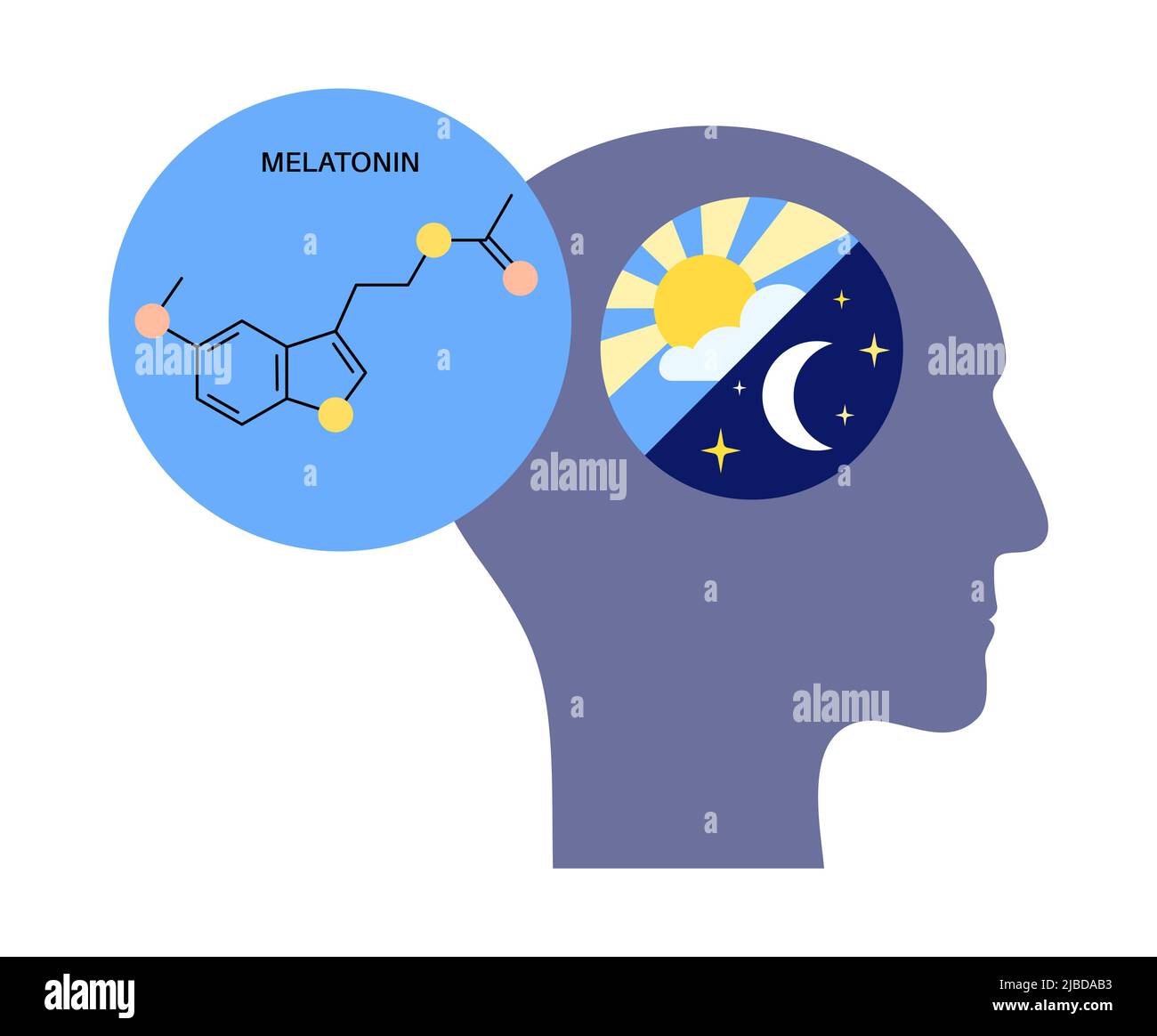 Sleep wake cycle, illustration Stock Photo - Alamy