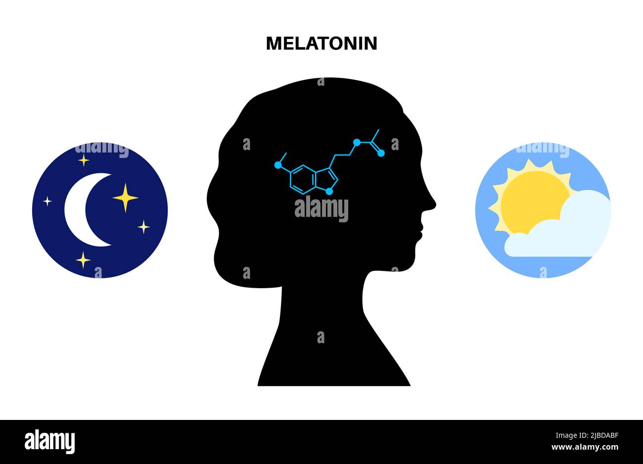 Sleep cycle illustration Cut Out Stock Images & Pictures - Alamy