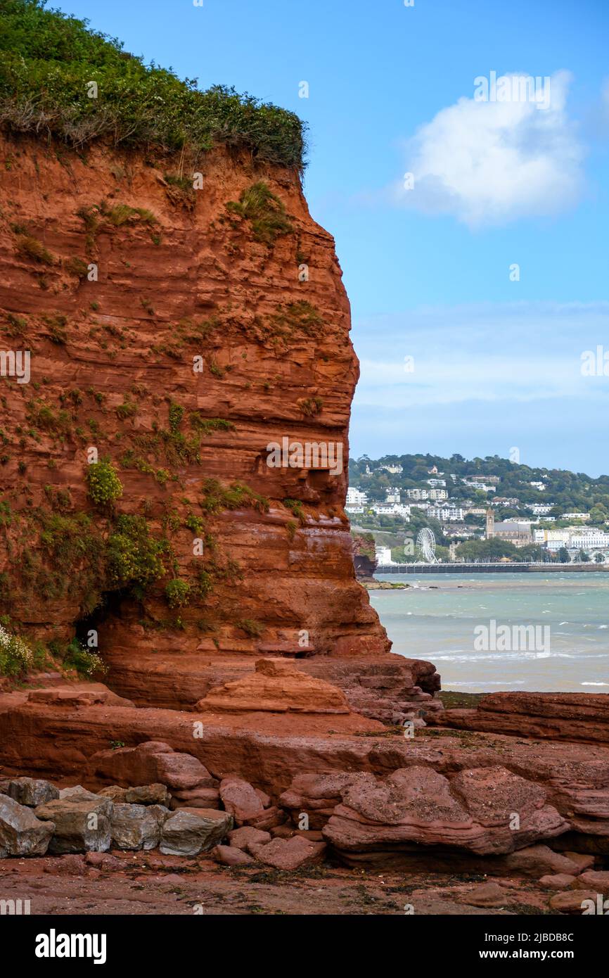 The red soil of Devon is clearly eexposed in the cliffs of Paignton ...