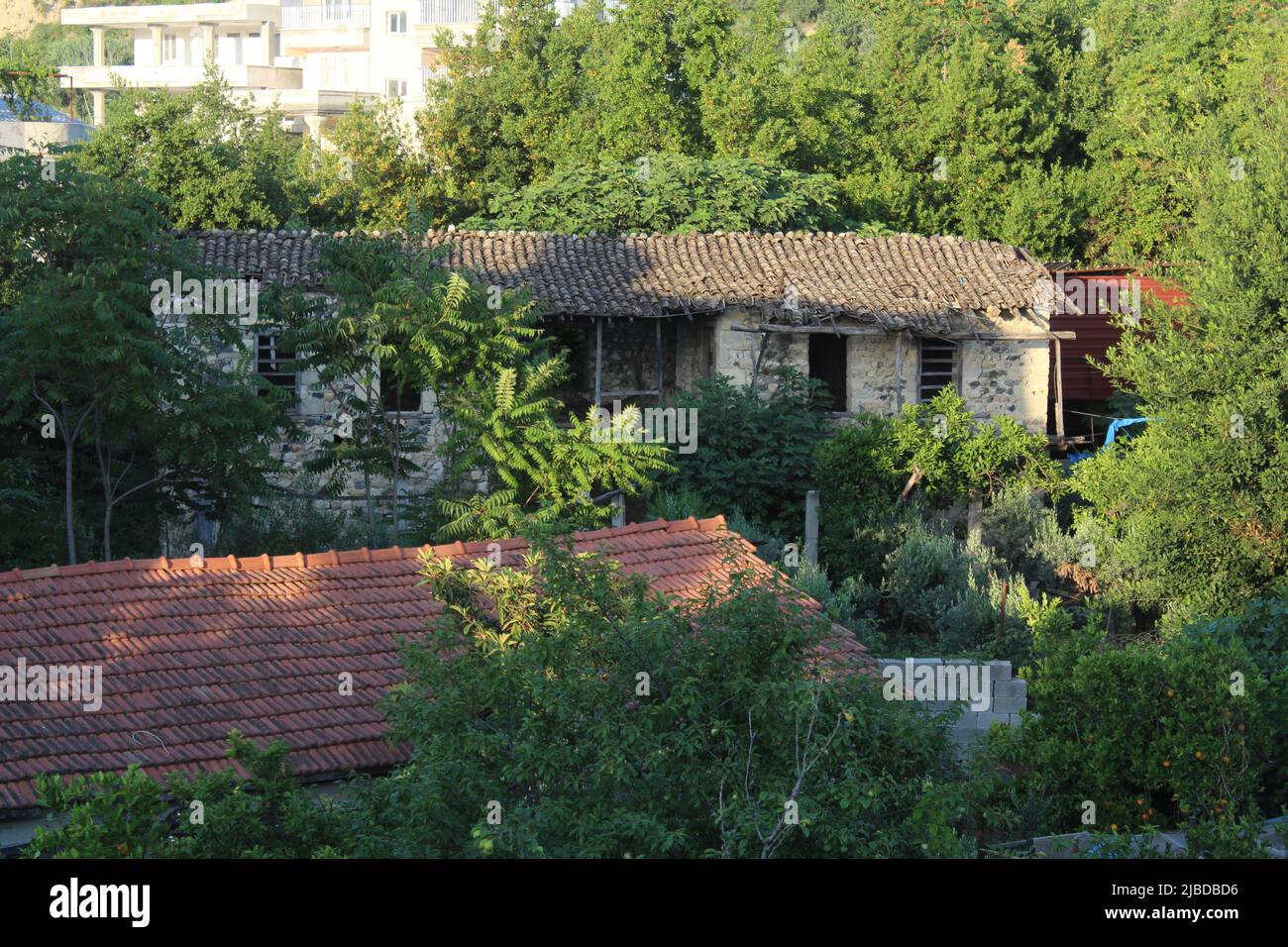 Stone house between trees in breathtaking nature. Old house in the ...