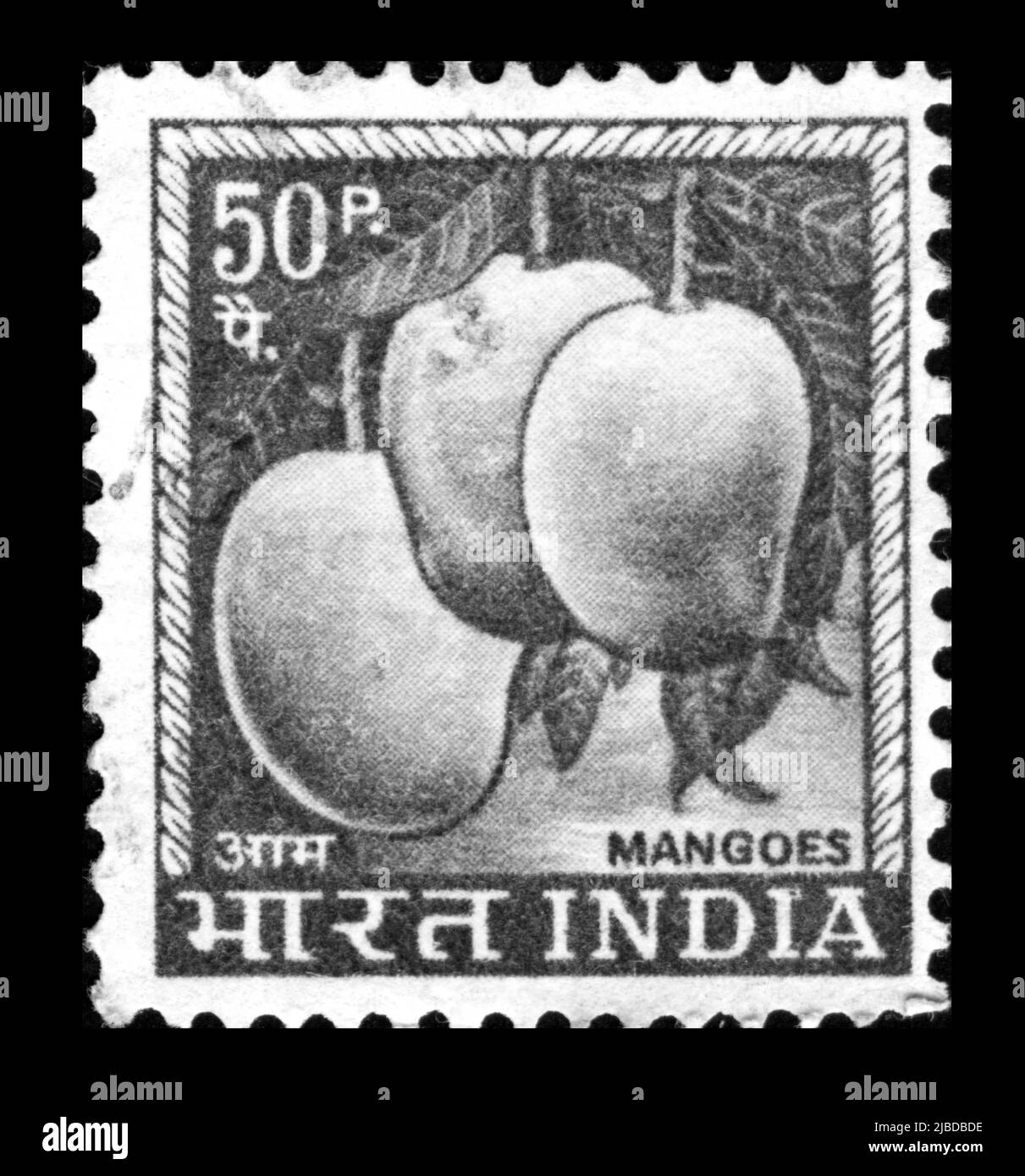 India fruit Black and White Stock Photos & Images - Alamy