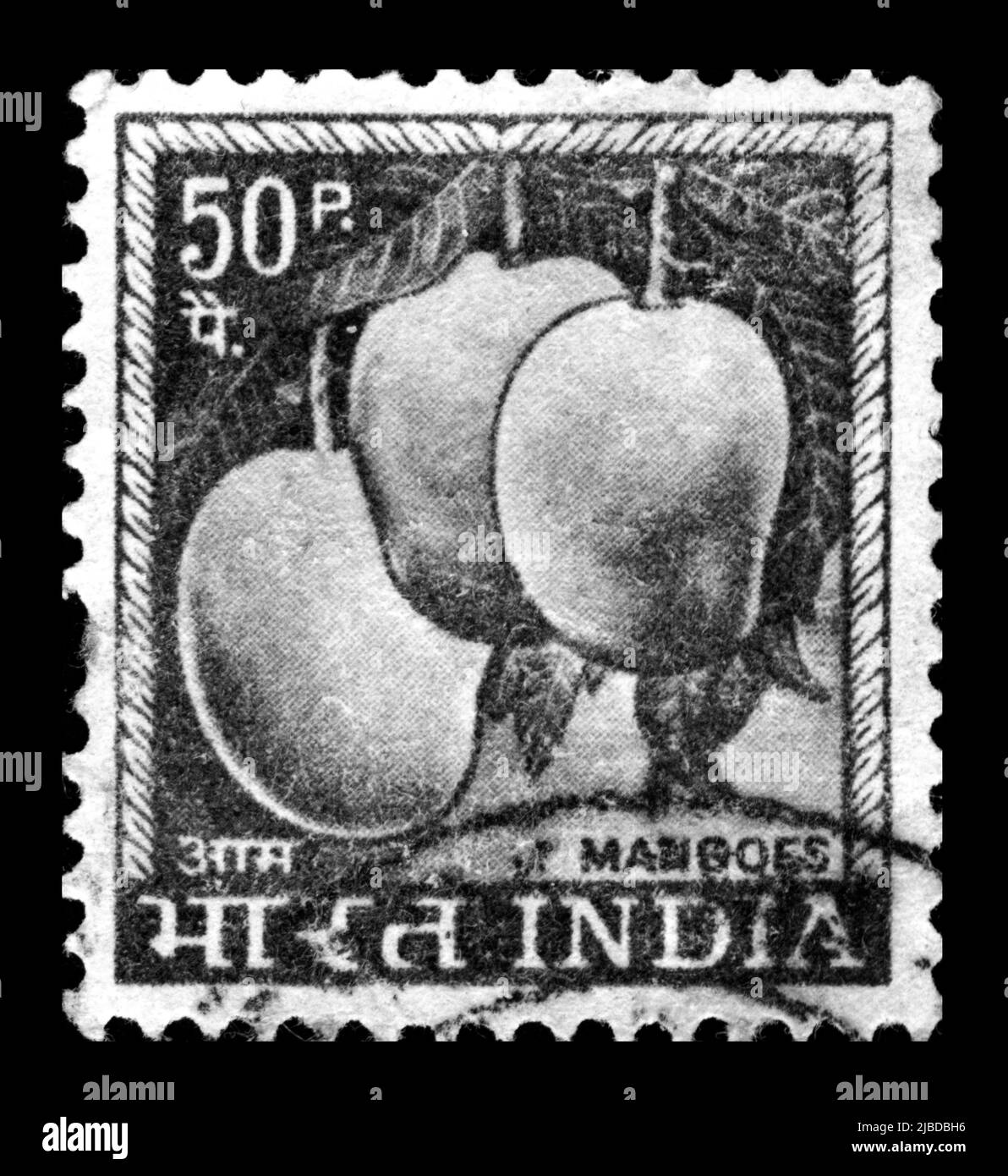 Collecting fruit Black and White Stock Photos & Images - Alamy