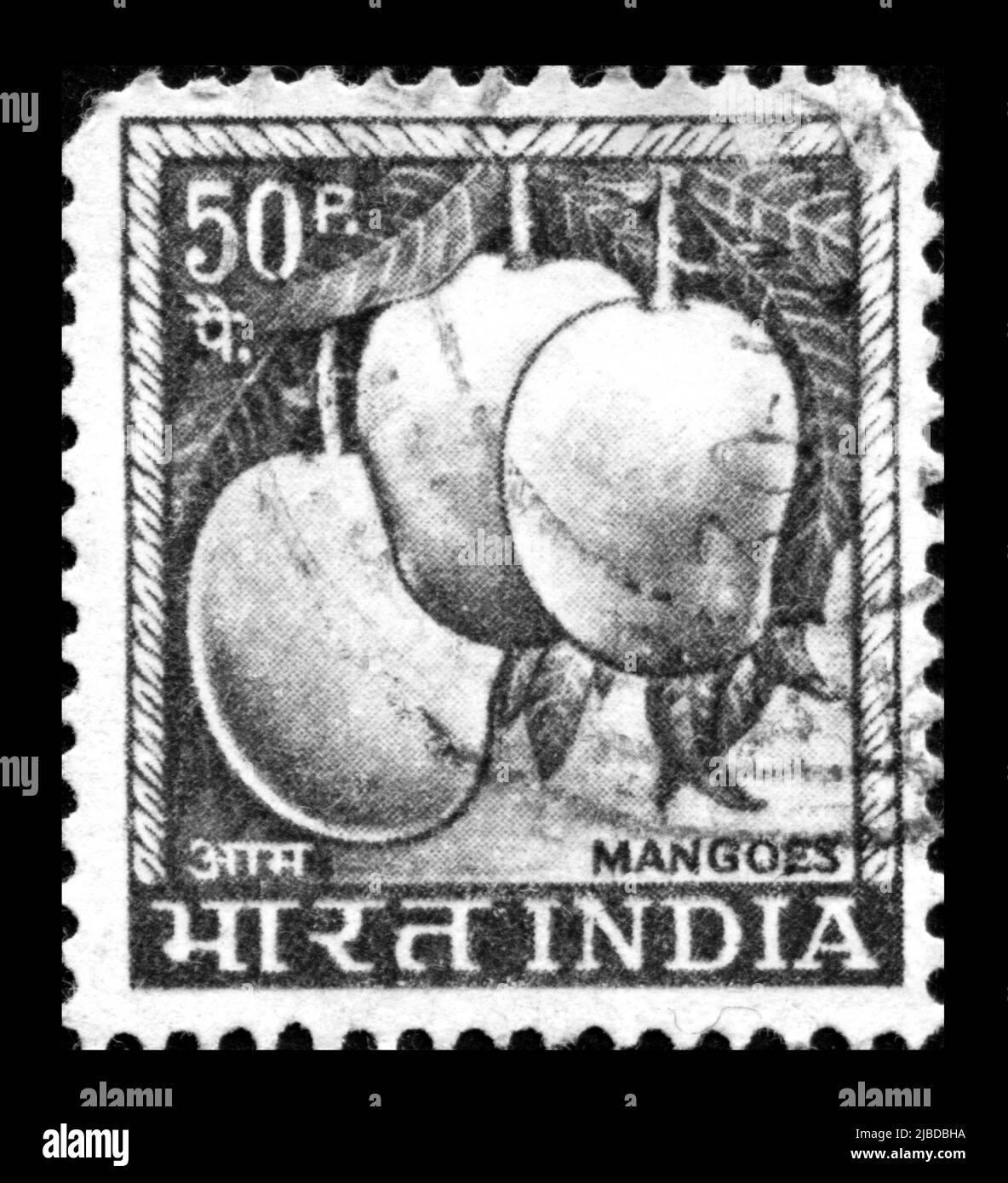 India fruit Black and White Stock Photos & Images - Alamy