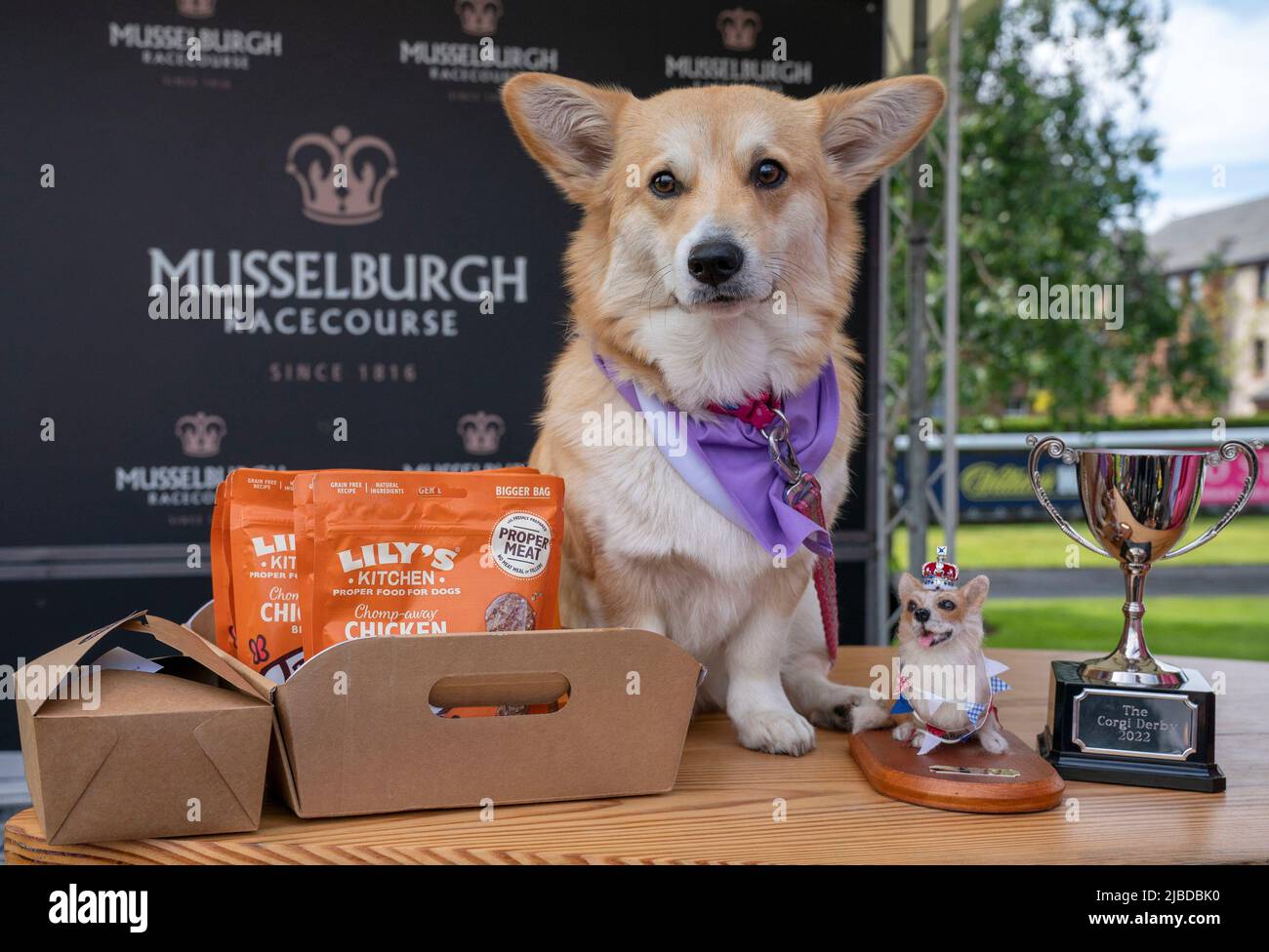 Georgie with her cup and trophy after winning the first ever Corgi ...