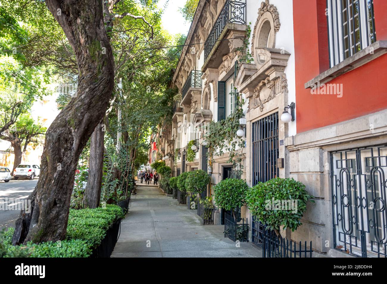 Mexico city colonial roma hi-res stock photography and images - Alamy