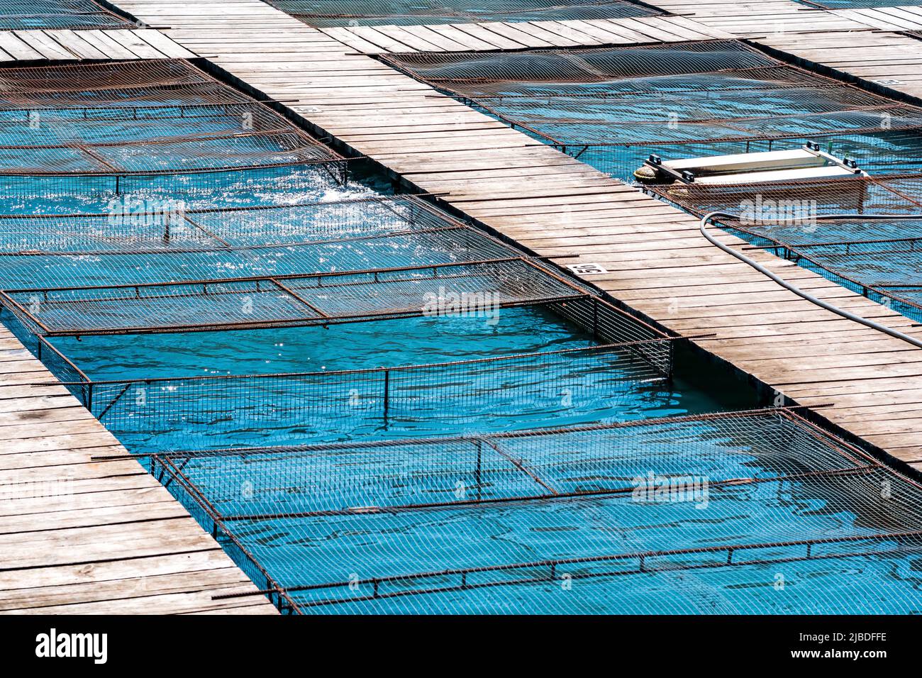 aquaculture installations with fish cages on a fish farm Stock Photo ...