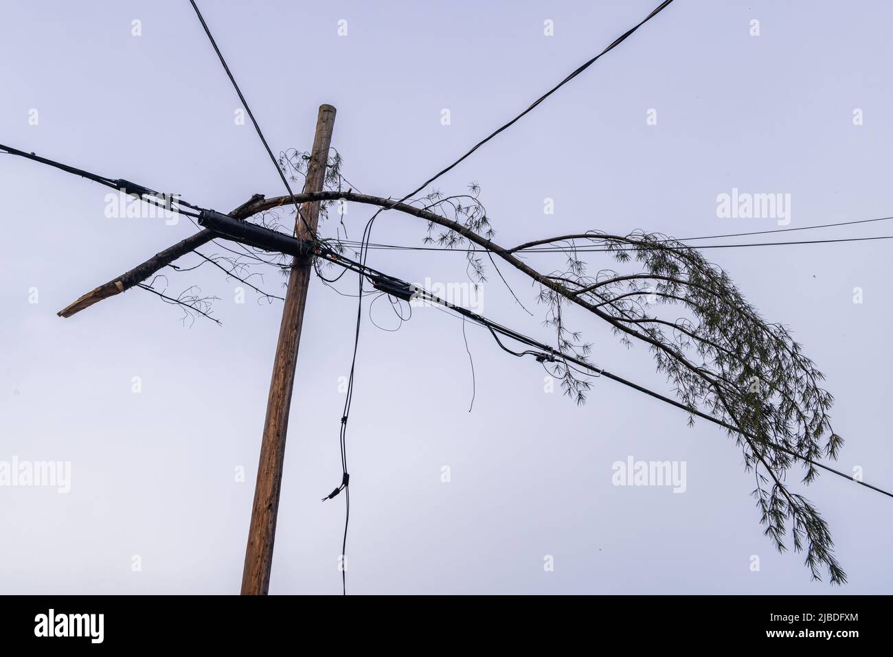 Low down view of tree branch caught in overhead electricity cables as ...