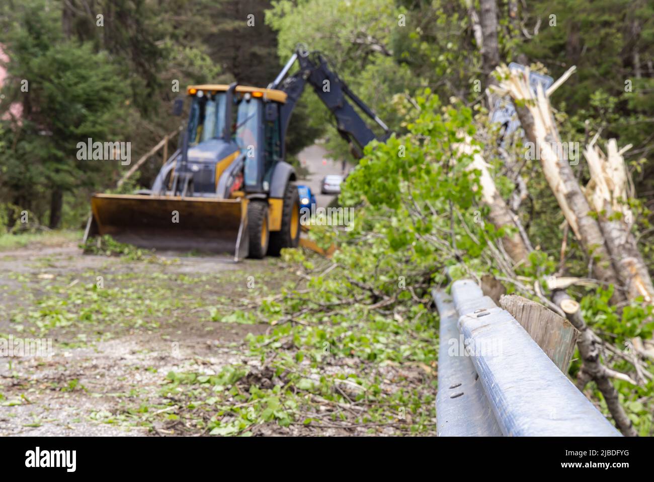 Clearing Trees With Trackhoe Clipart