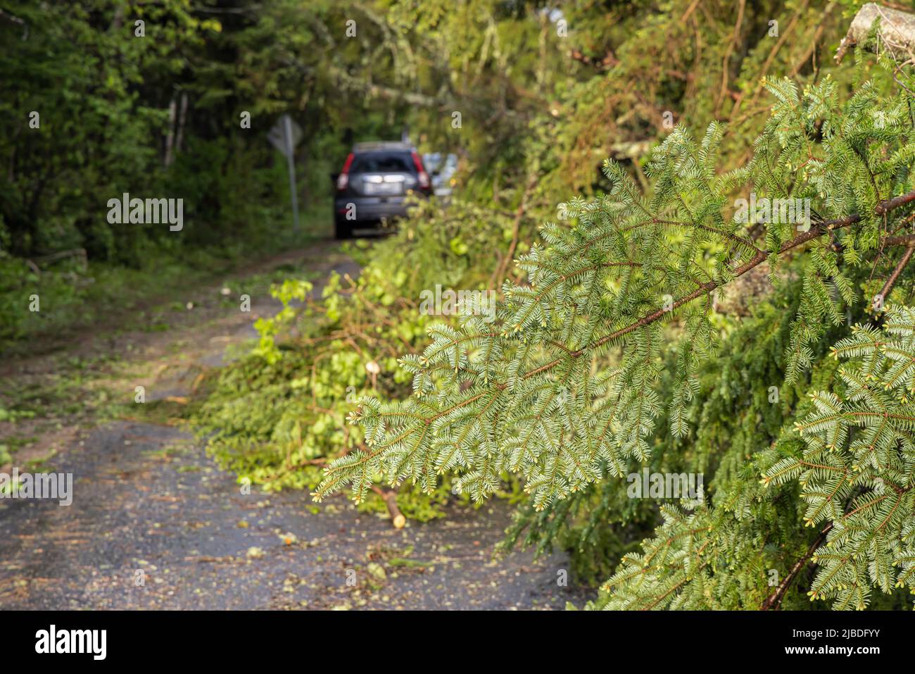 Obstructions in the road hi-res stock photography and images - Alamy