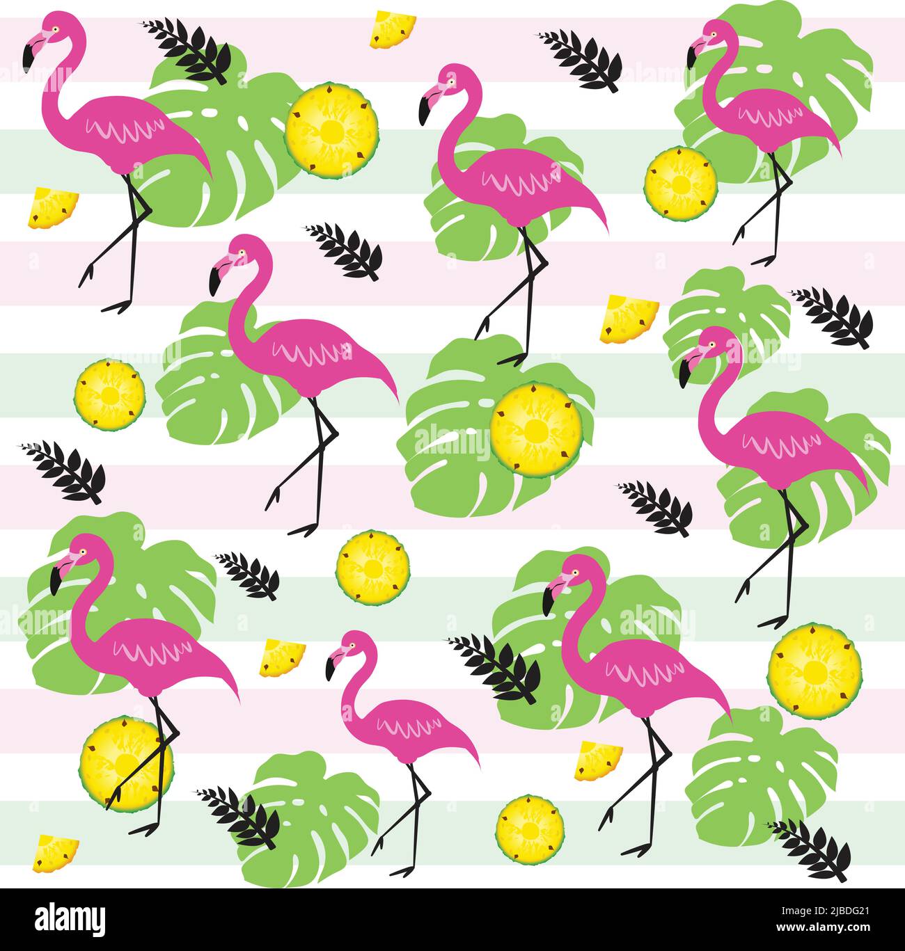 Florida bird of paradise Stock Vector Images - Alamy