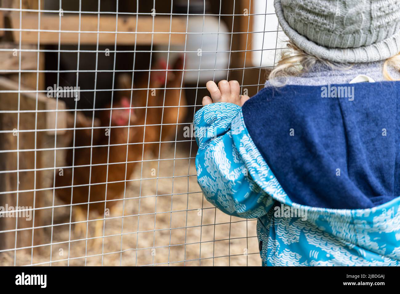 An over the shoulder selective focus shot of a toddler standing by a ...