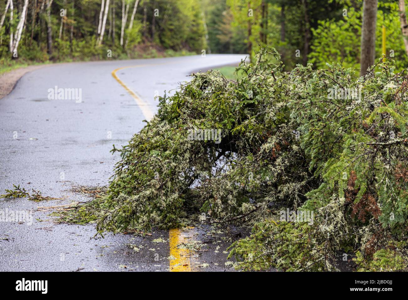 One lane blocked hi-res stock photography and images - Alamy