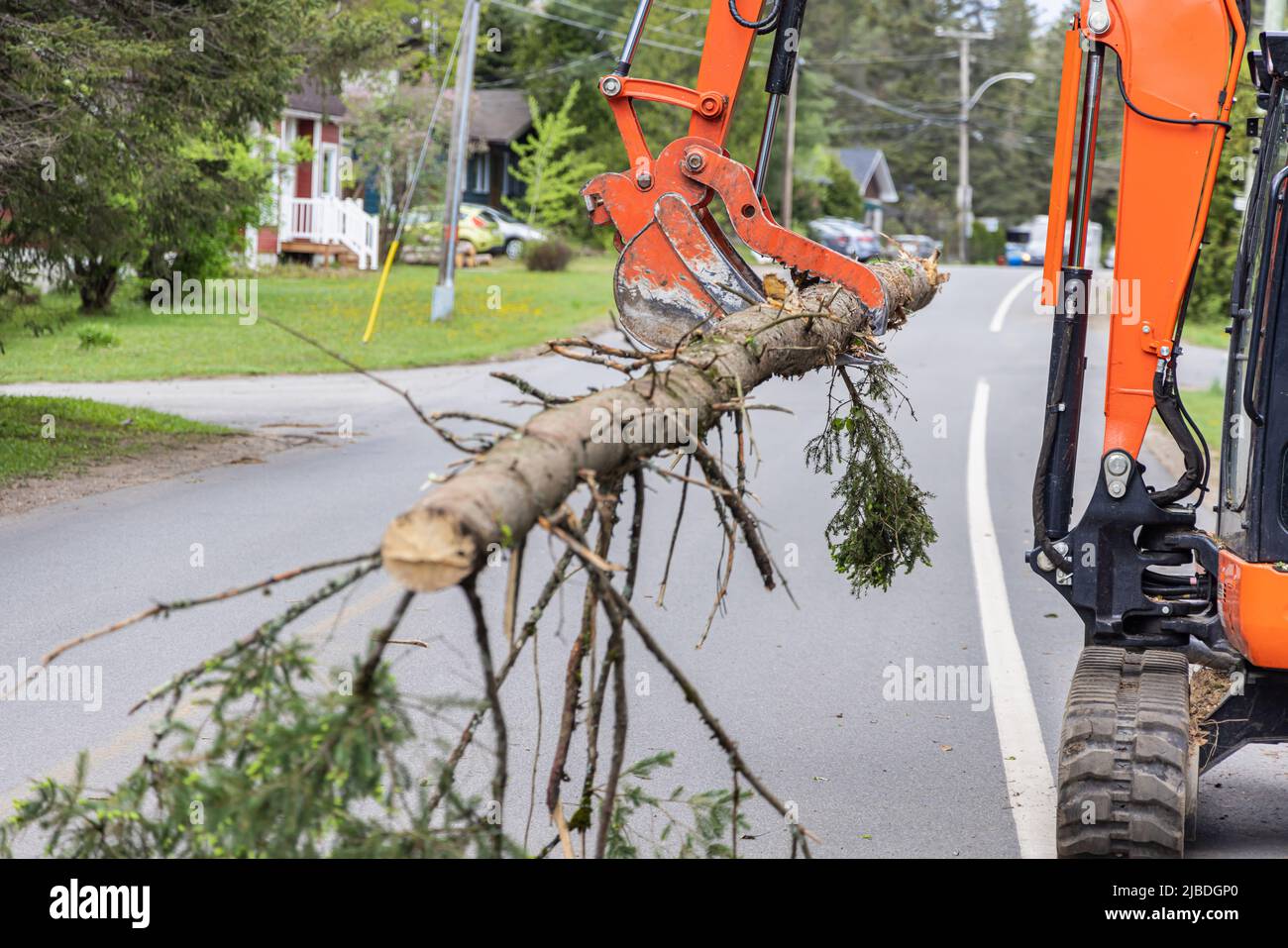 Side view as a hydraulic digger transports a tree trunk on a suburban ...