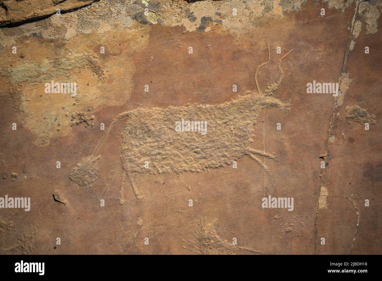Drawn figures on the stone wall. Rock painting in mountain of Altai ...