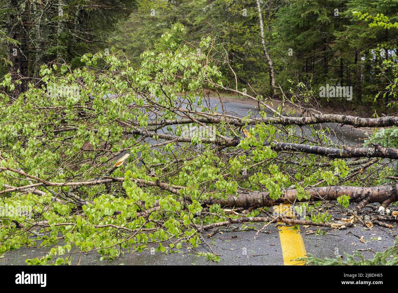 Wind lanes hi-res stock photography and images - Alamy