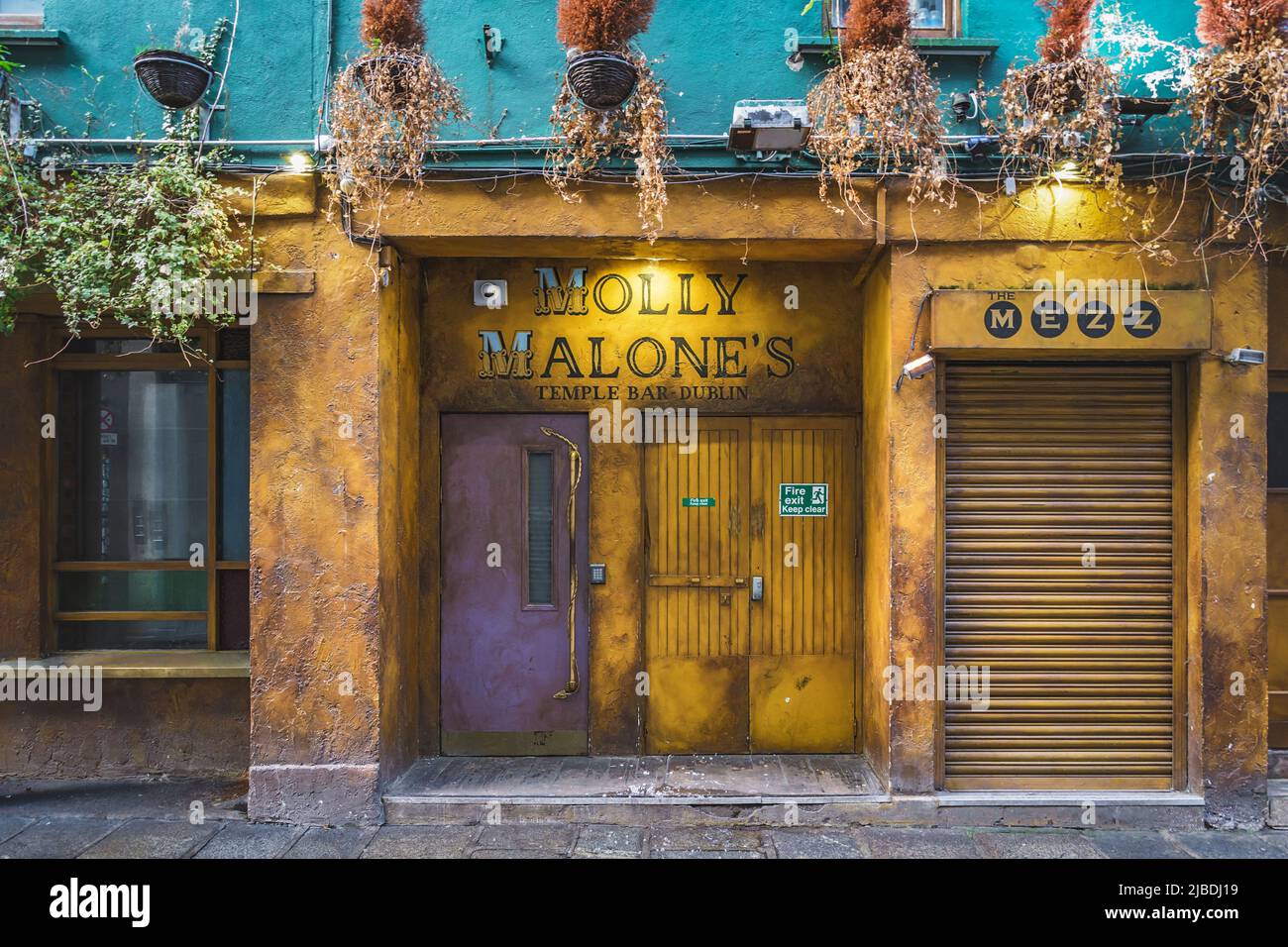 Molly Malone Bar