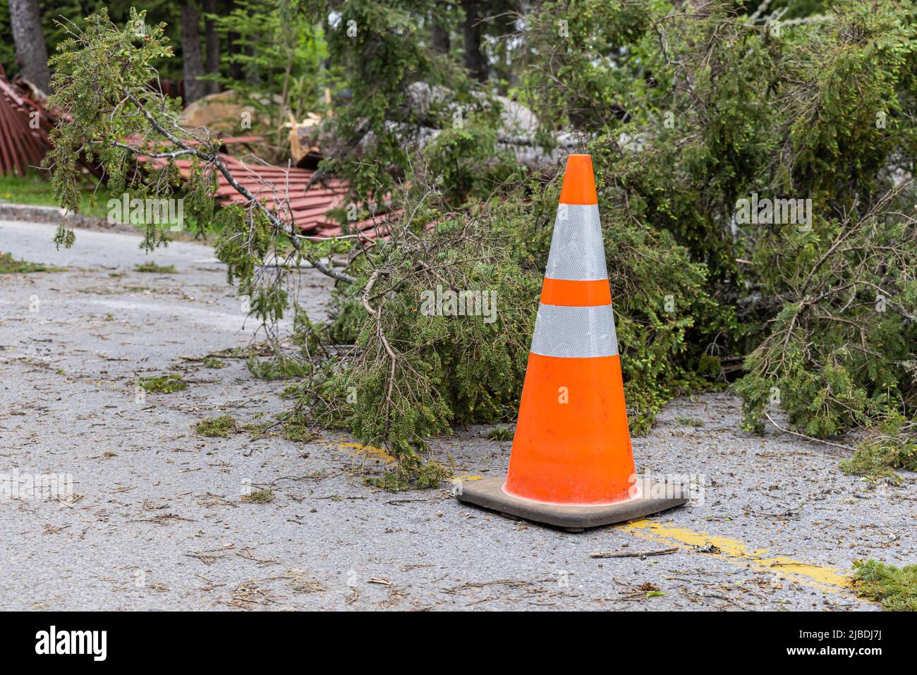 Closeup view of a high visibility traffic cone on a main road through a ...