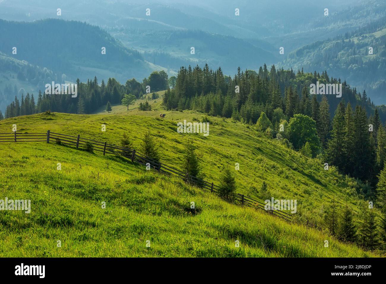 Outdoor mountain activities hi-res stock photography and images - Alamy
