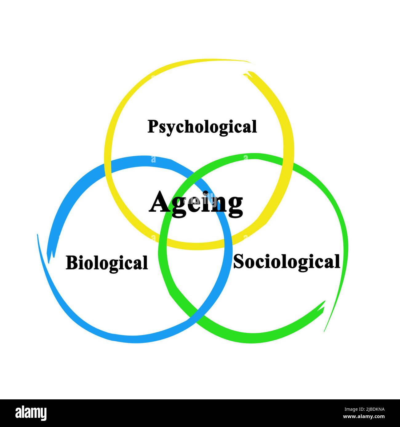Three facets of ageing Stock Photo - Alamy