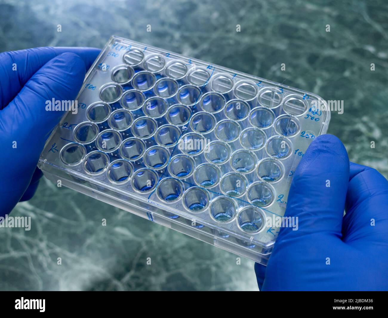Large blood cells hi-res stock photography and images - Alamy