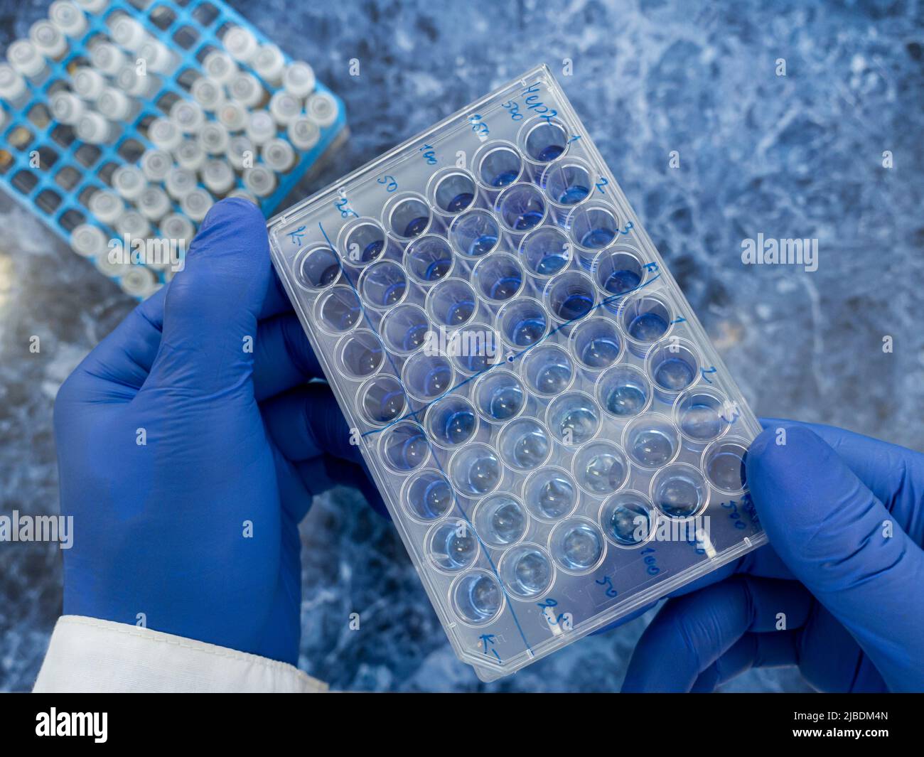 Laboratory items are on the work table in the laboratory, test tubes ...