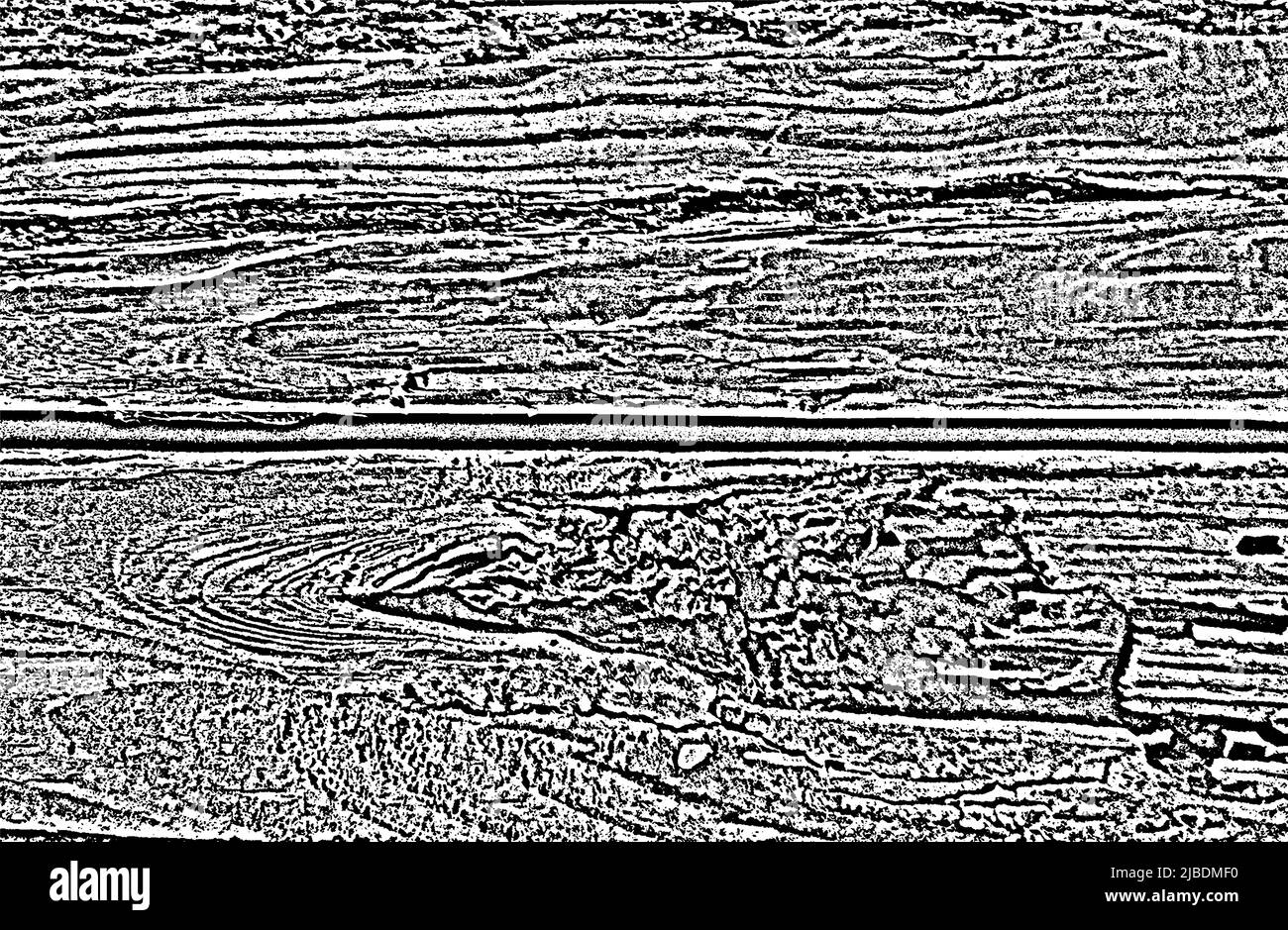 Hand draw flower in retro style. Distress vector illustration Stock ...